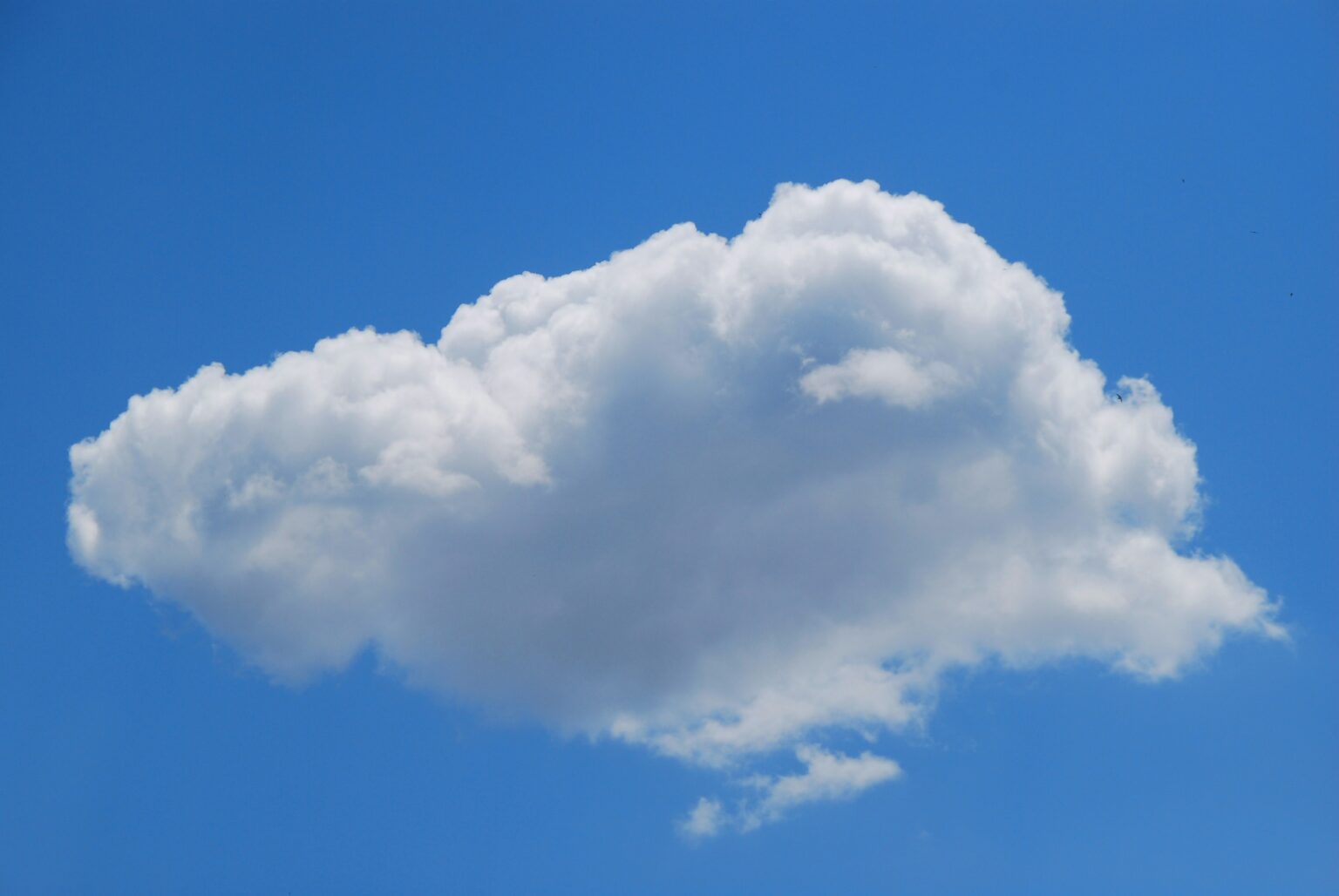 Why a Cloud Backup Solution Should Be Part of Your IT Routine - ATCOM